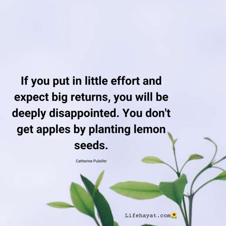 Keep Working Hard - 25 Motivational Quotes - Best Life Hayat